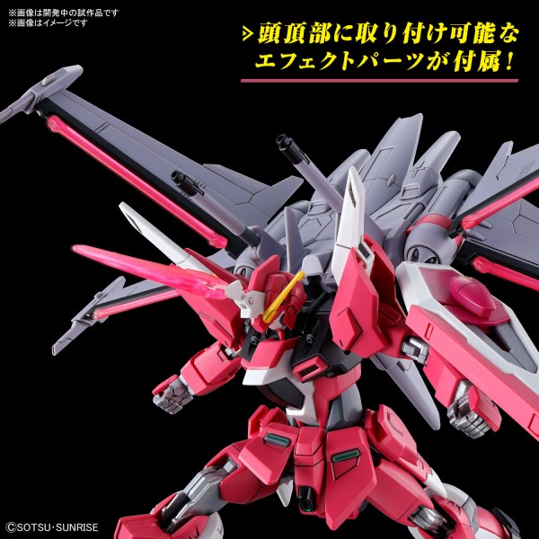 HG Infinite Justice Gundam Type II (251) - Canada Gundam
